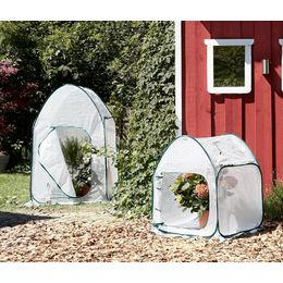 Tchibo - Pop-up-Pflanzenschutzzelt - 80x80x95cm - transparent -