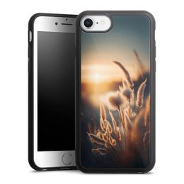 DeinDesign iPhone SE (2020) Handy Gallery Case Handyh&uuml;lle 9H Geh&auml;rtetes Glas R&uuml;ckseite H&uuml;lle Nature Pampasgras Sun Gallery Case