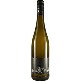 Weingut Kim Rech Grauer Burgunder Grauburgunder 2025 Trocken - Rheinhessen &ndash; Wei&szlig;wein Qualit&auml;tswein