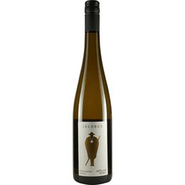 weingut m&uuml;ller-kern Weingut M&uuml;ller-Kern JACOBUS Grauburgunder 2025 Trocken - Pfalz &ndash; Wei&szlig;wein Qualit&auml;tswein