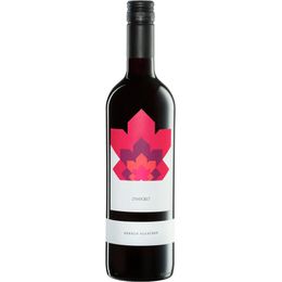 Weingut Gerald Allacher Zweigelt 2023 Trocken - Pahlen Burgenland &ndash; Rotwein Landwein
