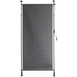 Sichtschutz, Anthrazit, Metall, Kunststoff, 120x316x270 cm, Sonnen- & Sichtschutz, Sichtschutz Garten, Paravents outdoor