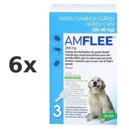 6x Amflee 268 mg Spot-on Lsg.f.gro&szlig;e Hunde 20-40kg 3 St