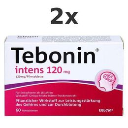 2x Tebonin intens 120 mg Filmtabletten 60 St