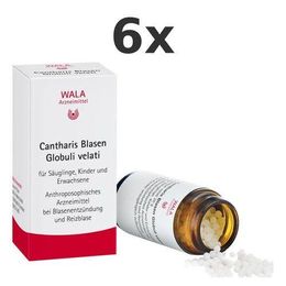 WALA 6x Cantharis Blasen Globuli velati 20 g
