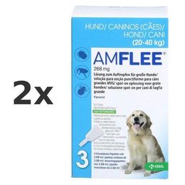 2x Amflee 268 mg Spot-on Lsg.f.gro&szlig;e Hunde 20-40kg 3 St