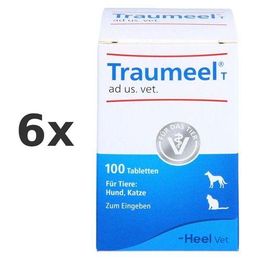 Heel 6x Traumeel T ad us. vet. 100 St