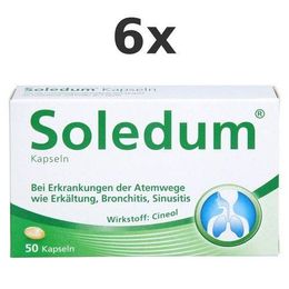 MCM KLOSTERFRAU Vertr. GmbH 6x Soledum 100 mg magensaftresistente Kapseln 50 St