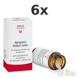 WALA 6x Agropyron Globuli velati 20 g