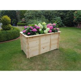 Promadino Hochbeet natur 160 x 85 x 80 cm