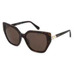 Swarovski 0SK6016 | Damen-Sonnenbrille | Fassung: Vollrand, Quadratisch, Acetat, Havanna Dunkel | Glasfarbe: Braun