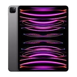 Apple iPad Pro 12,9 1TB [Wi-Fi + Cellular, Modell 2022] space grau