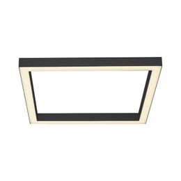 Paul Neuhaus Deckenleuchte PURE LINES