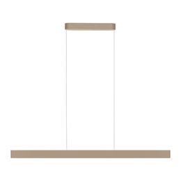 Paul Neuhaus Pendelleuchte Q-STRETTO