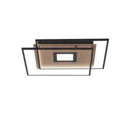 Paul Neuhaus Deckenleuchte Q-AMIRA