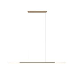 Paul Neuhaus Pendelleuchte PURE SURFACE