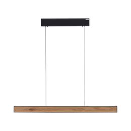 Paul Neuhaus Pendelleuchte PURE E-MOTION