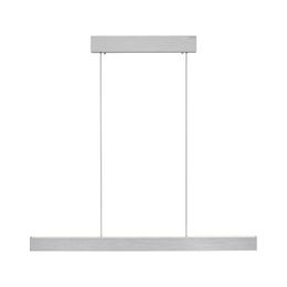 Paul Neuhaus Pendelleuchte PURE E-MOTION