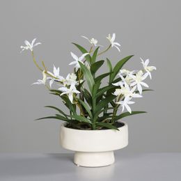 DPI Kunstblume ORCHIDEE