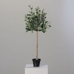 DPI Olivenbaum gr&uuml;n