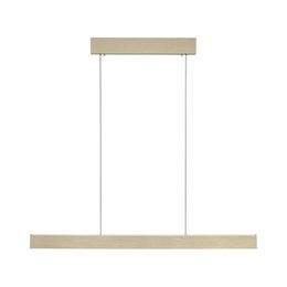 Paul Neuhaus Pendelleuchte PURE E-MOTION