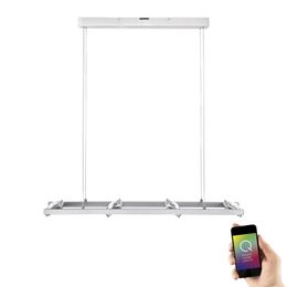 Paul Neuhaus Pendelleuchte Q-FISHEYE