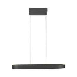 Paul Neuhaus Pendelleuchte Q-STRETTO