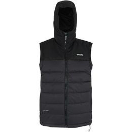 Regatta Aldthorn Herren Steppweste schwarz M - Herrenjacken