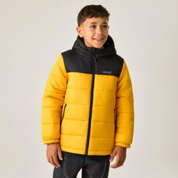 Regatta Lofthouse Kinder Winterjacke gelb 140 - Kinderjacken