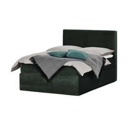 Boxi Boxspringbett 140 x 200 cm Boxi Classic gr&uuml;n Ma&szlig;e (cm): B: 140 H: 125 &raquo; M&ouml;bel Kraft