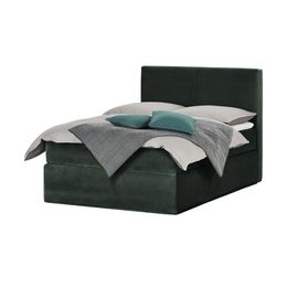 Boxi Boxspringbett 140 x 200 cm Boxi Classic gr&uuml;n Ma&szlig;e (cm): B: 140 H: 125 &raquo; M&ouml;bel Kraft