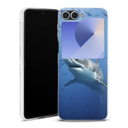 Galaxy Z Flip 7 FE Handy Hard Case Schutzh&uuml;lle transparent Smartphone Handy H&uuml;lle Ocean Shark Fish Hard Case