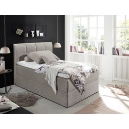 Boxbett GRATIANA 2