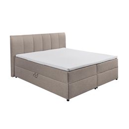 Boxbett GRANADA 2