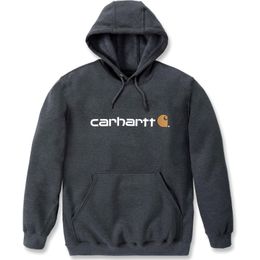Carhartt Signature Logo, Kapuzenpullover