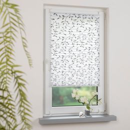 Plissee Liedeco, B:90cm H:210cm, wei&szlig;, Wohnzimmer, Plissees, "Klemmfix-Plissee verspannt, Druck Bl&auml;tter", Bedrucktes Plissee mit Blattmotiv