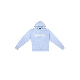 DROPSIZE Herren Kapuzensweatshirt "Dropsize HEAVY OVERSIZE FROTTEE EMBO V2 HOODIE", blau, Gr. L, 70% Baumwolle, 30% Polyester, Sweatshirts