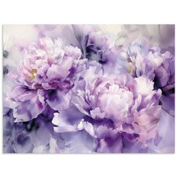 Wandbild Artland, B:80cm H:60cmfarbe bild(er): lila, Alu Dibond, Wohnzimmer, Bilder, "Lila Farbene Pfingstrosen Aquarell", als Alubild, Leinwandbild,