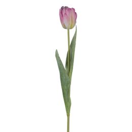 Gasper Deko-Blume TULPE