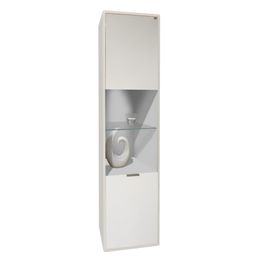 M&auml;usbacher Standvitrine ALPHA