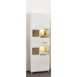 Innostyle Standvitrine FUN PLUS