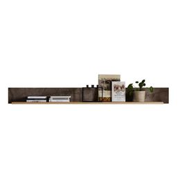 Innostyle Wandboard SPIDER PLUS