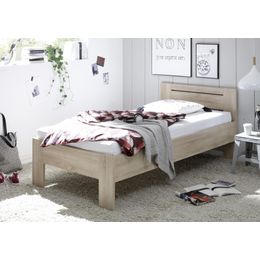 Pol-Power Futonbett SATURN