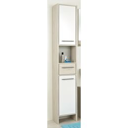 Pelipal Hochschrank JAN