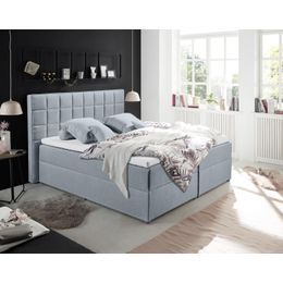 Boxbett ALASKA 2