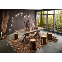 M&auml;usbacher Esstisch BIG SYSTEM DELUXE