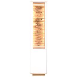 M&auml;usbacher Vitrine KINGSTON