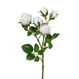 Gasper Deko-Blume POLYANTROSE