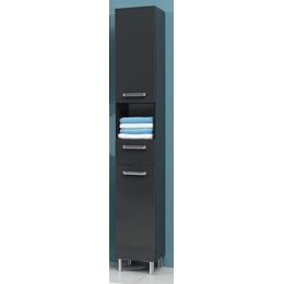 Pelipal Hochschrank MAINZ