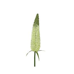 Kaemingk Kunstblume PUSCHEL
